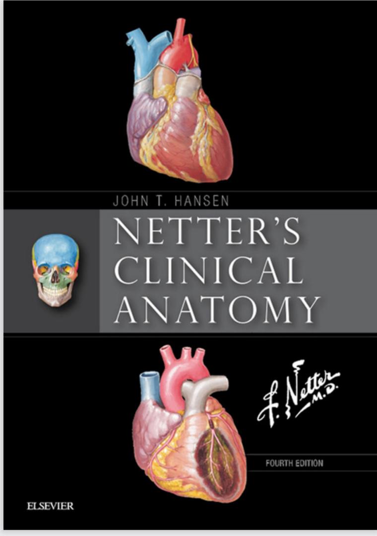 Netter's Clinical Anatomy (Netter Basic Science) 4th Edition - نوآوران دانش